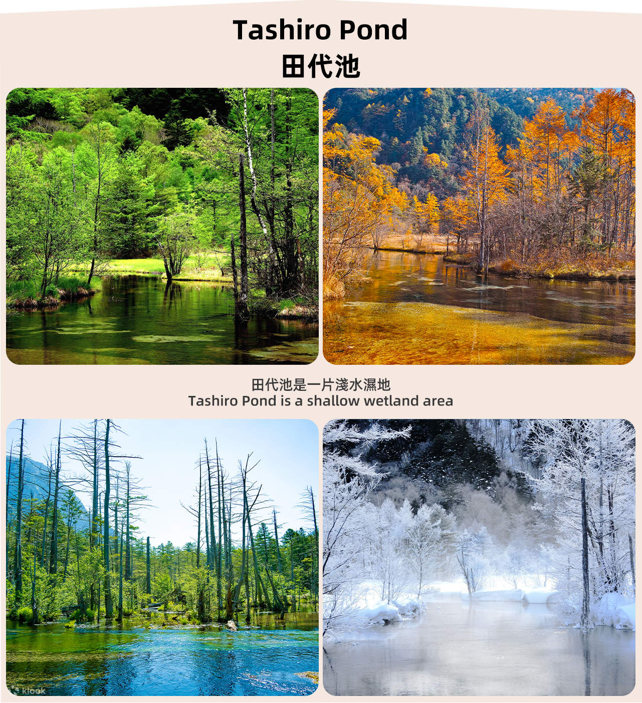 [Tateyama Kurobe Autumn Foliage 2-Day Tour] Kamikochi & Tateyama Kurobe ...